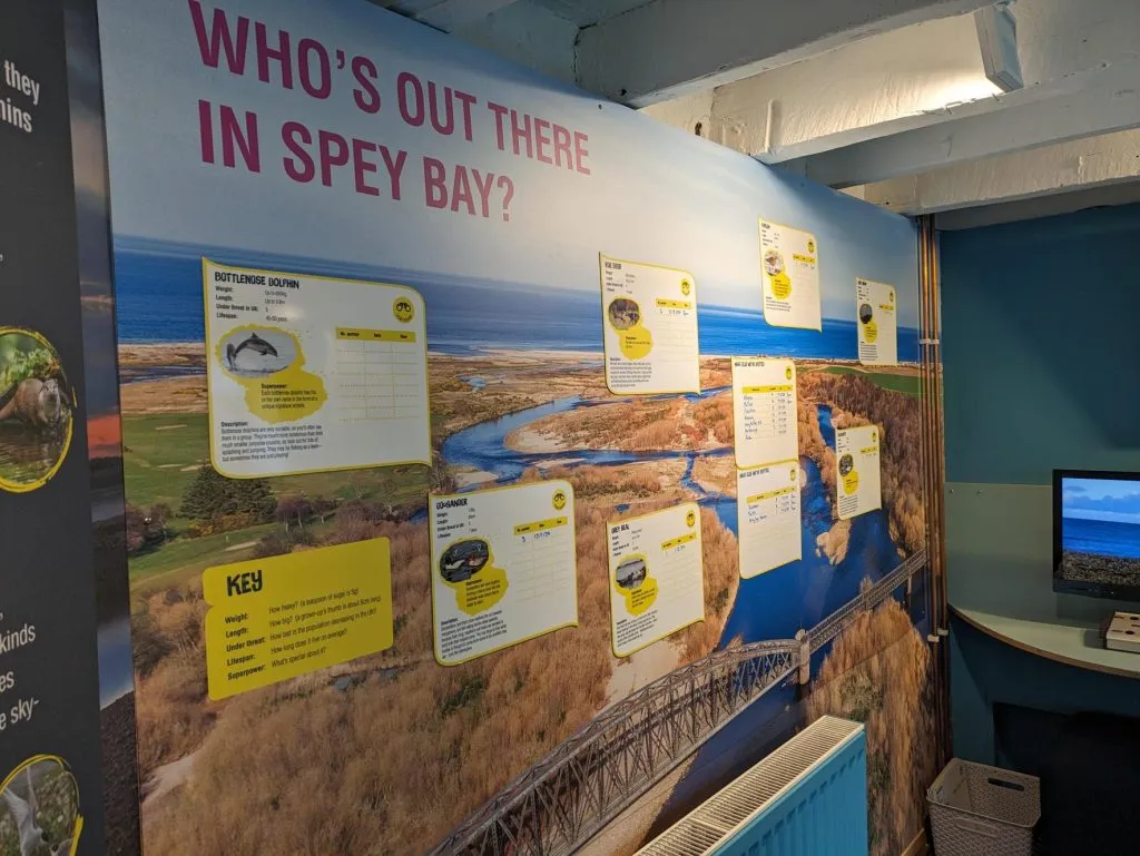 Exhibition and tours - WDC Scottish Dolphin Centre - Spey Bay, Moray Firth