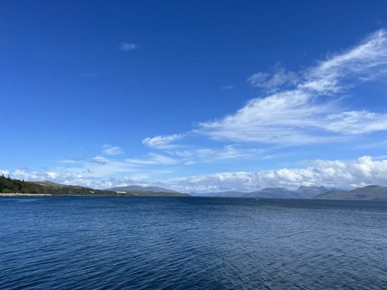 5 Things You Can See in Summer at Spey Bay - WDC Scottish Dolphin ...