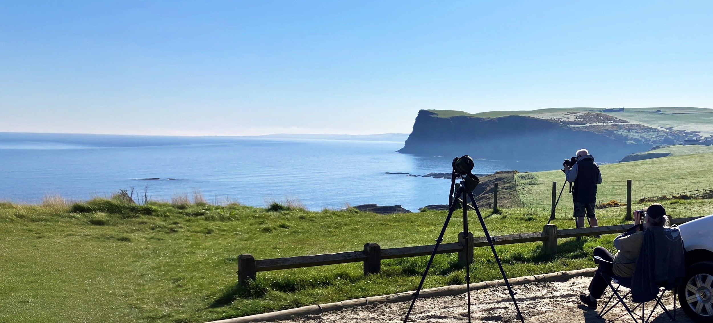 Blog - WDC Scottish Dolphin Centre - Spey Bay, Moray Firth