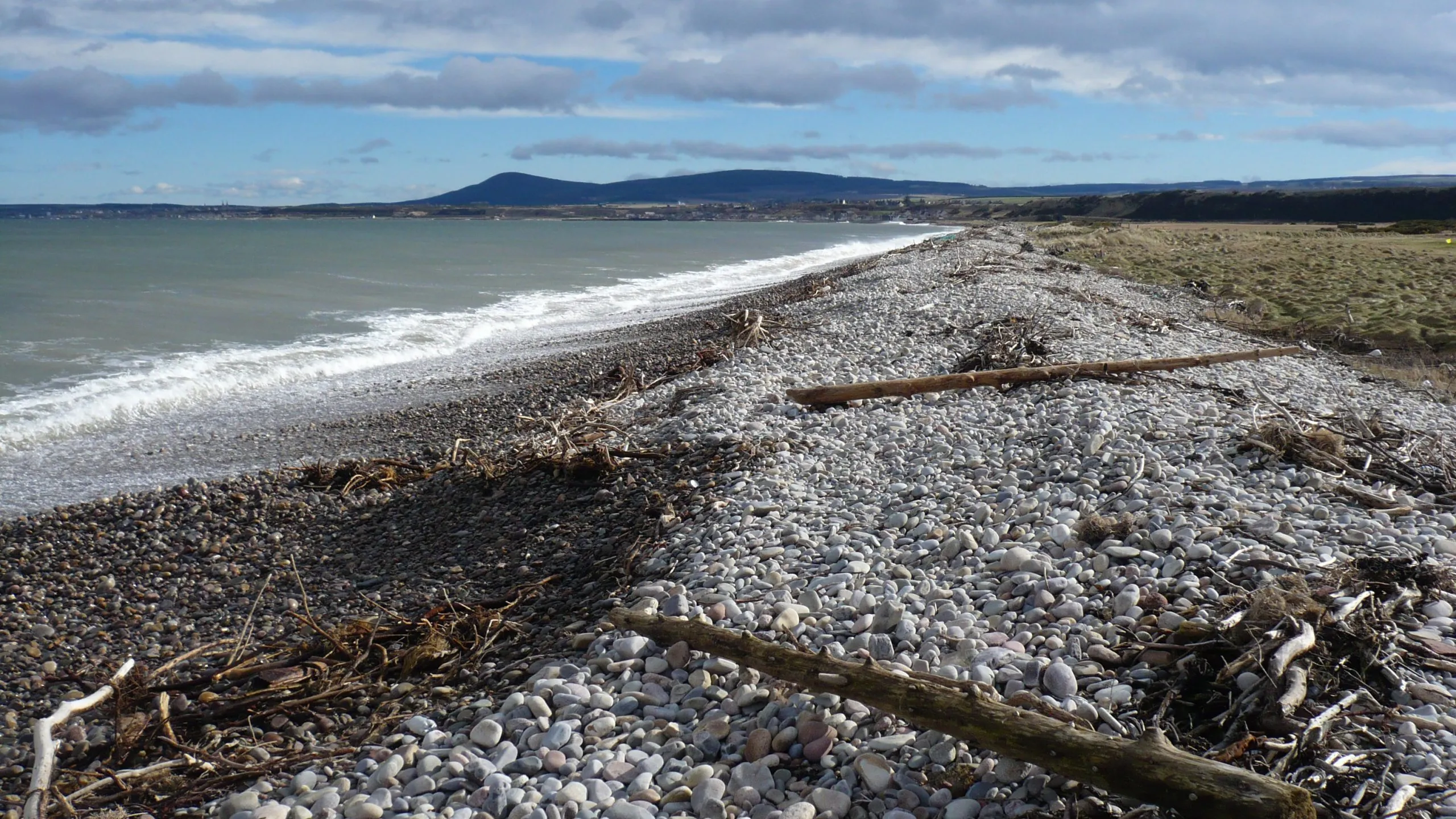 Our Green Story - WDC Scottish Dolphin Centre - Spey Bay, Moray Firth