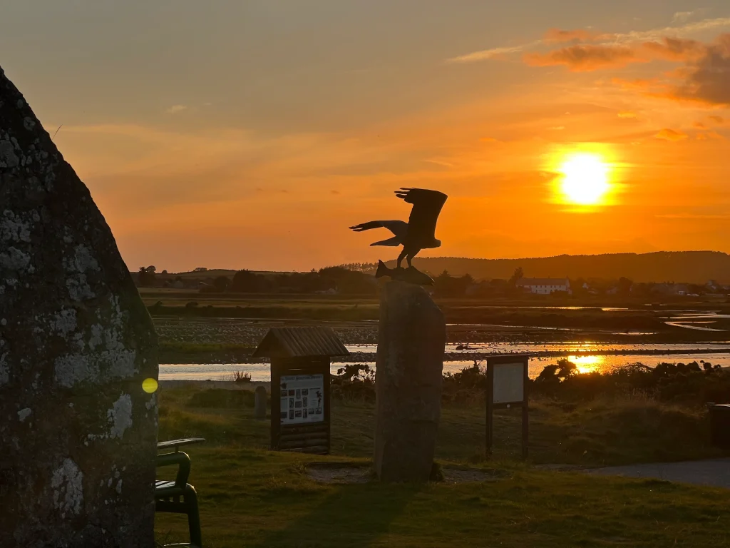 Looking for the Aurora at the Scottish Dolphin Centre - WDC Scottish ...
