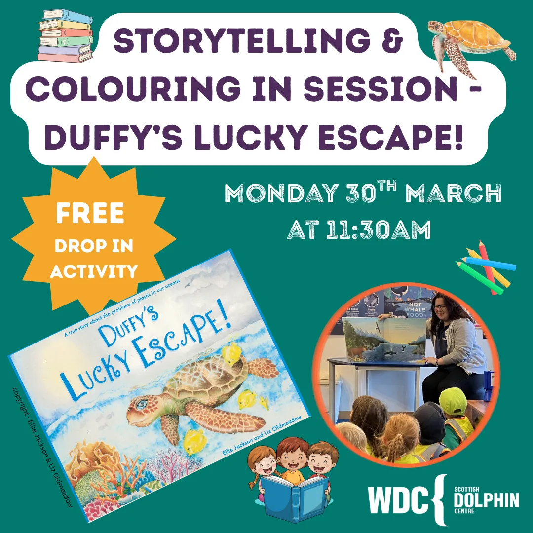 Storytelling & Colouring-In Session: Duffy’s Lucky Escape! - WDC ...